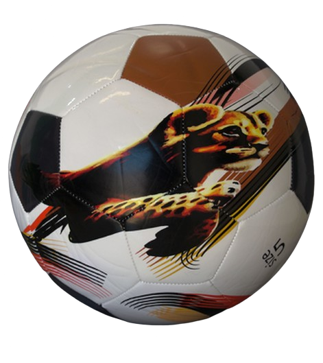 Size 5 Assorted Colorful Premium Soccer Ball Collection – Lion Wholesale
